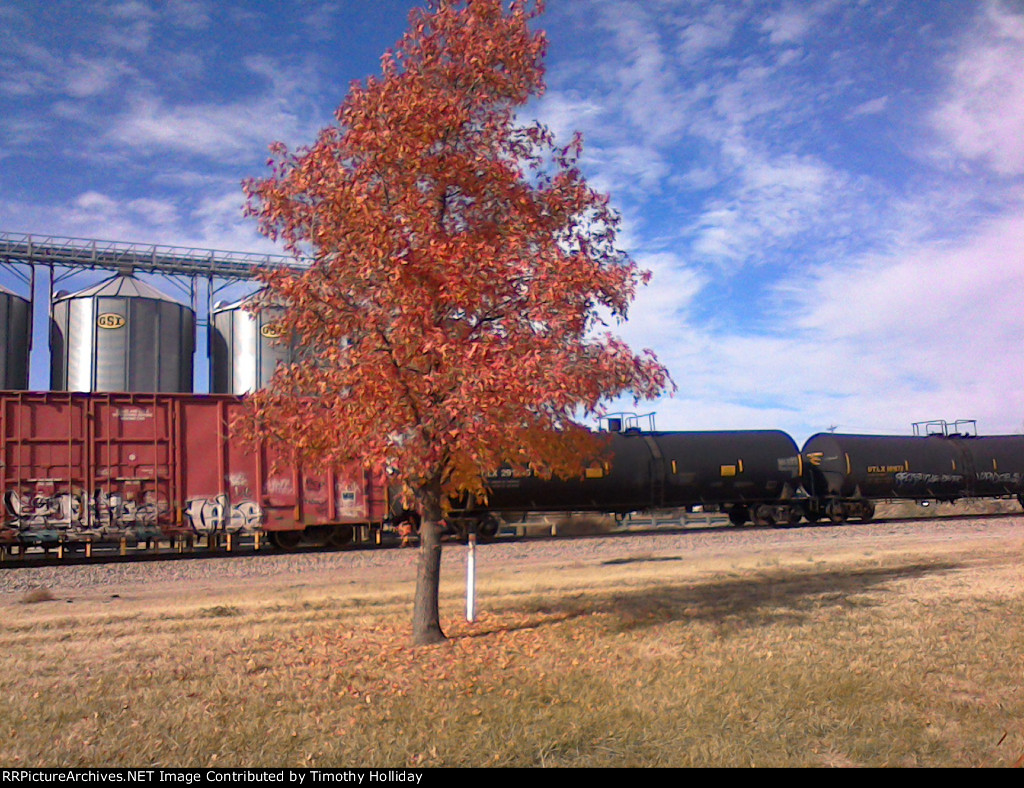 Untitled [www.rrpicturearchives.net]